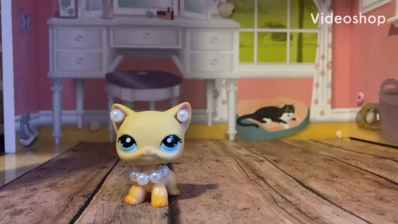 LPS Room Decorating With Lily Moonlight And Special Guest Ashley - Stop ...