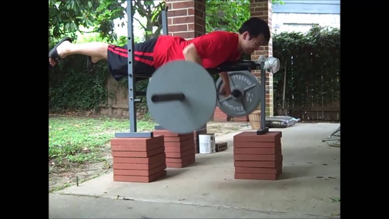 Seal Rows Back Exercise - YouTube