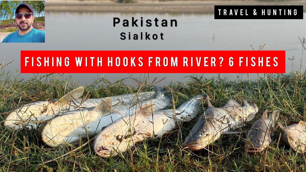 Fishing in Pakistan || 6 fish caught with hooks from river || Pakistani ...