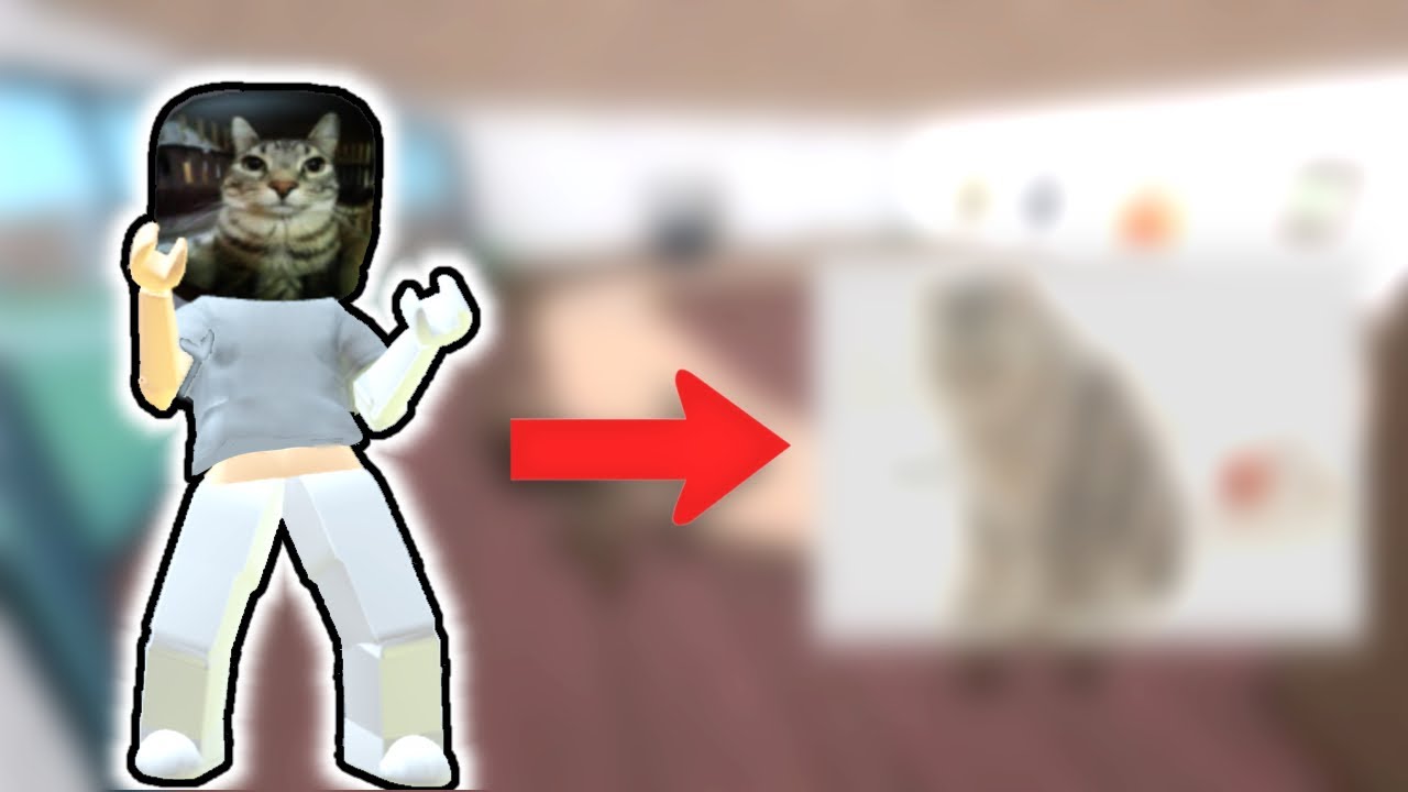 Playing MM2 as my cat! - YouTube
