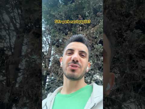 Sıfır park etme‼️part1 🤔😎 #gaming #disney #realestate #podcast #music #youtube #stitchtricks #fyp