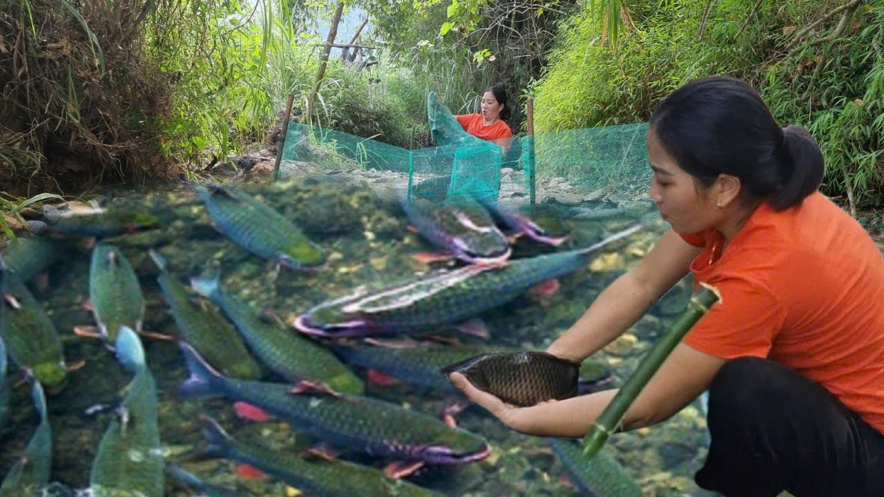 Basic fish catching skills in life, top fish catching skills, huge fish ...