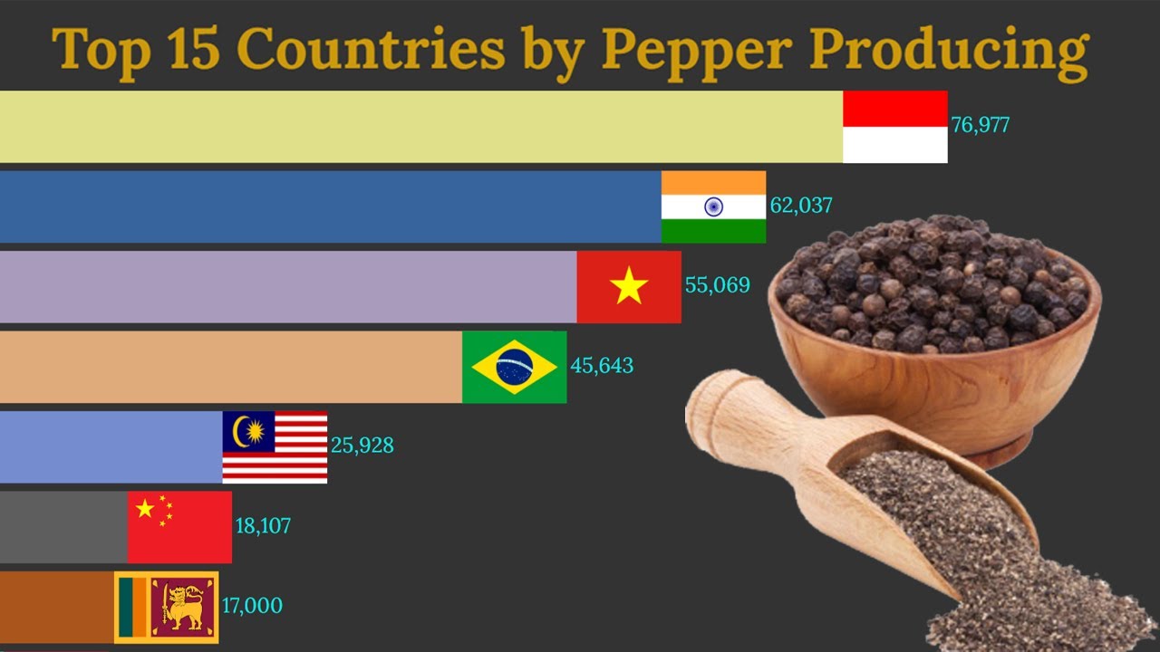 Data Is Beautiful - Top 15 Countries by Pepper Producing - YouTube