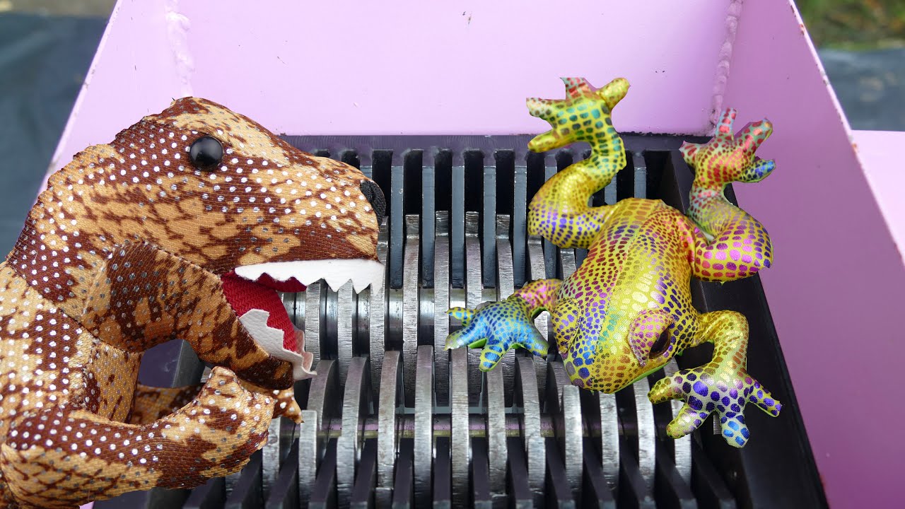 Shredding Animals filled with sand - Shredder Mini - YouTube