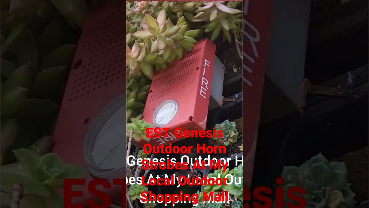 EST Genesis Outdoor Horn/Strobes At My Local Outdoor Shopping Mall # ...