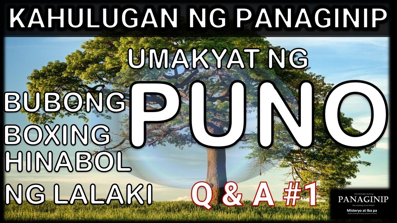 Kahulugan ng Panaginip na Puno (Tree) Q&A #15: Umakyat at Nagtago sa ...