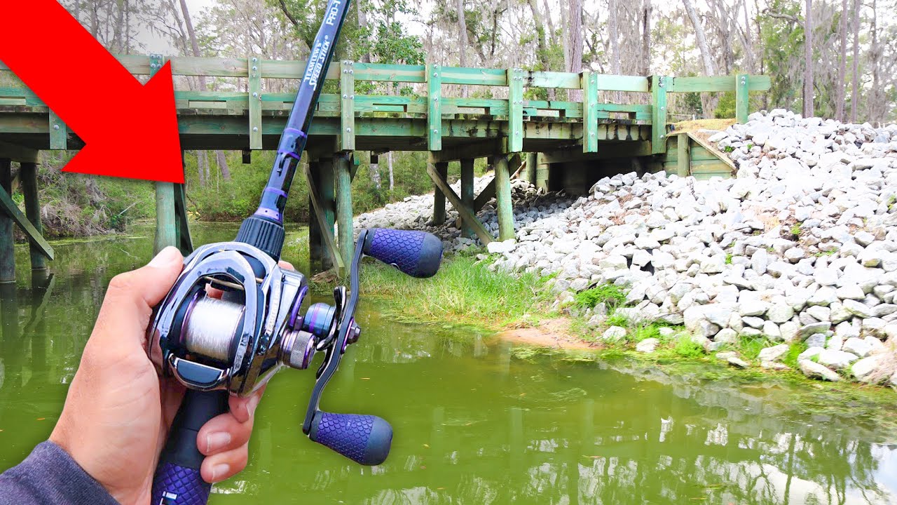 This TINY Ditch is LOADED w/ GIANT Bass! - YouTube