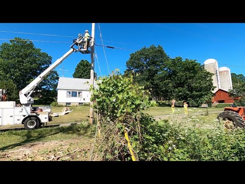 Lashing Fiber - YouTube