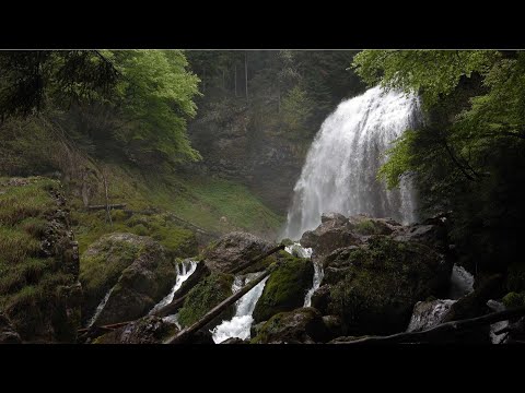 DIRECTION le cirque de saint Même
