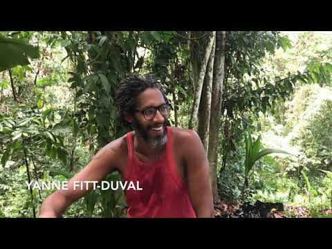 Rencontre avec Yanne Fitte Duval, un amoureux de la Nature - YouTube