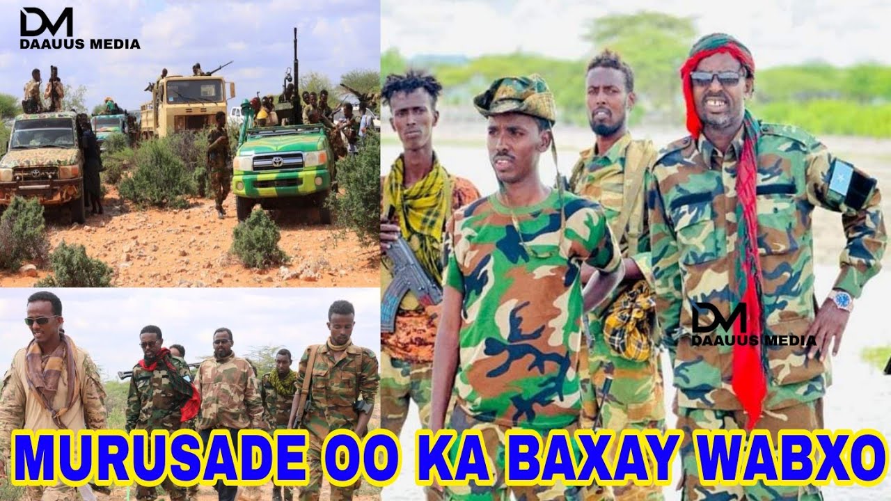 DegDeg: Beesha murusade Oo Dib Uga Soo Baxday Deegaanka Wabxo ...