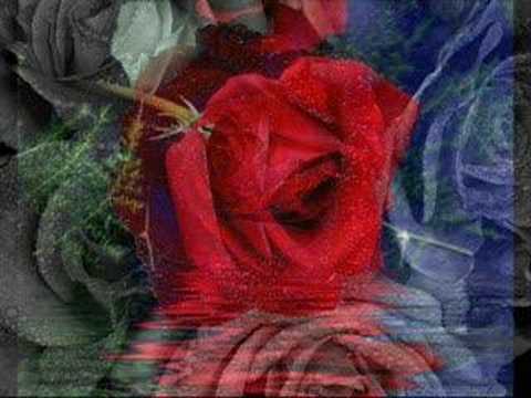 bunu senin için yaptım