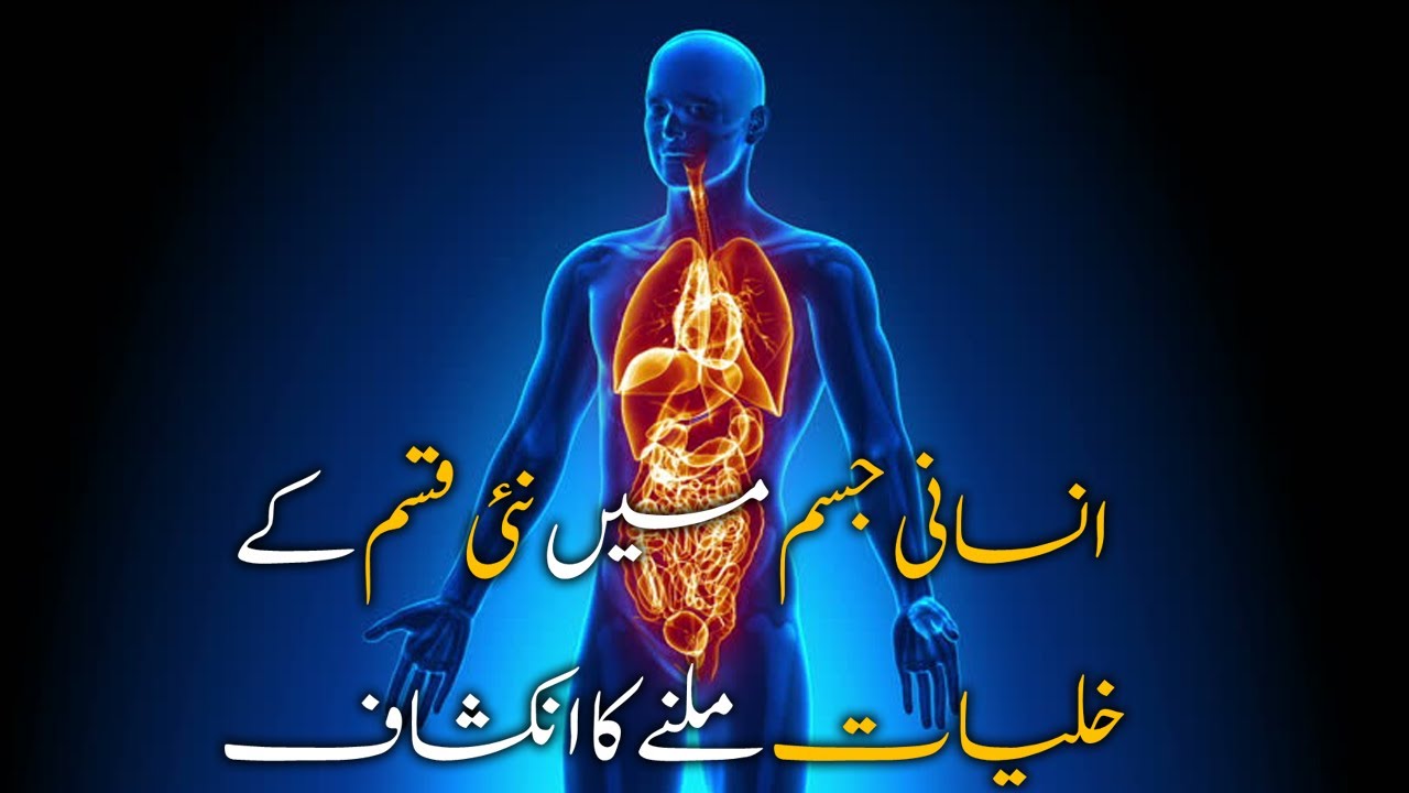 Discovery of new types of cells in the human body - YouTube
