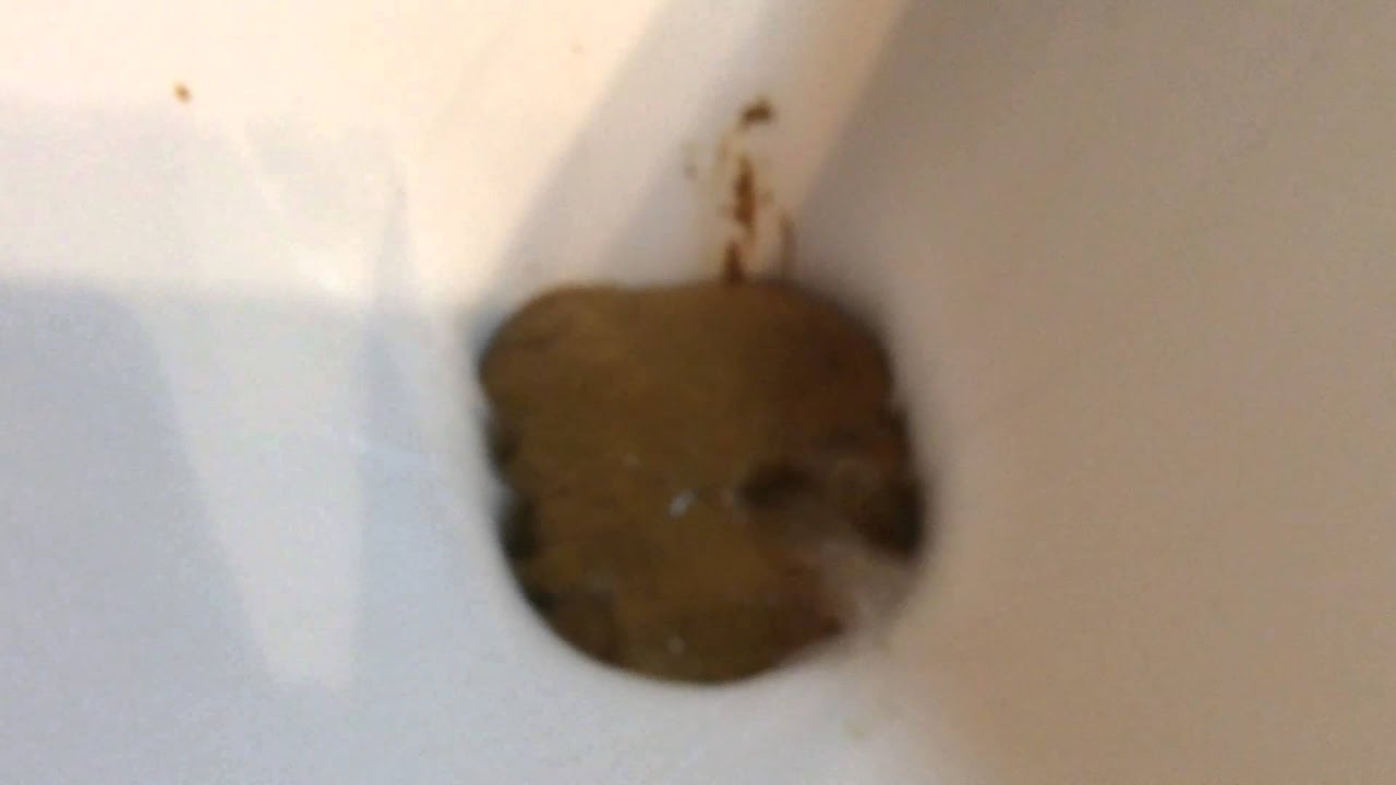 MIERDÓN, ESPECIAL DIARREA - YouTube