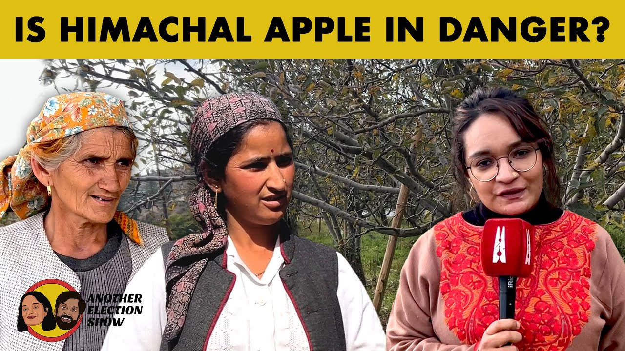 Adani, Climate Change? What are the issues of apple growers this ...