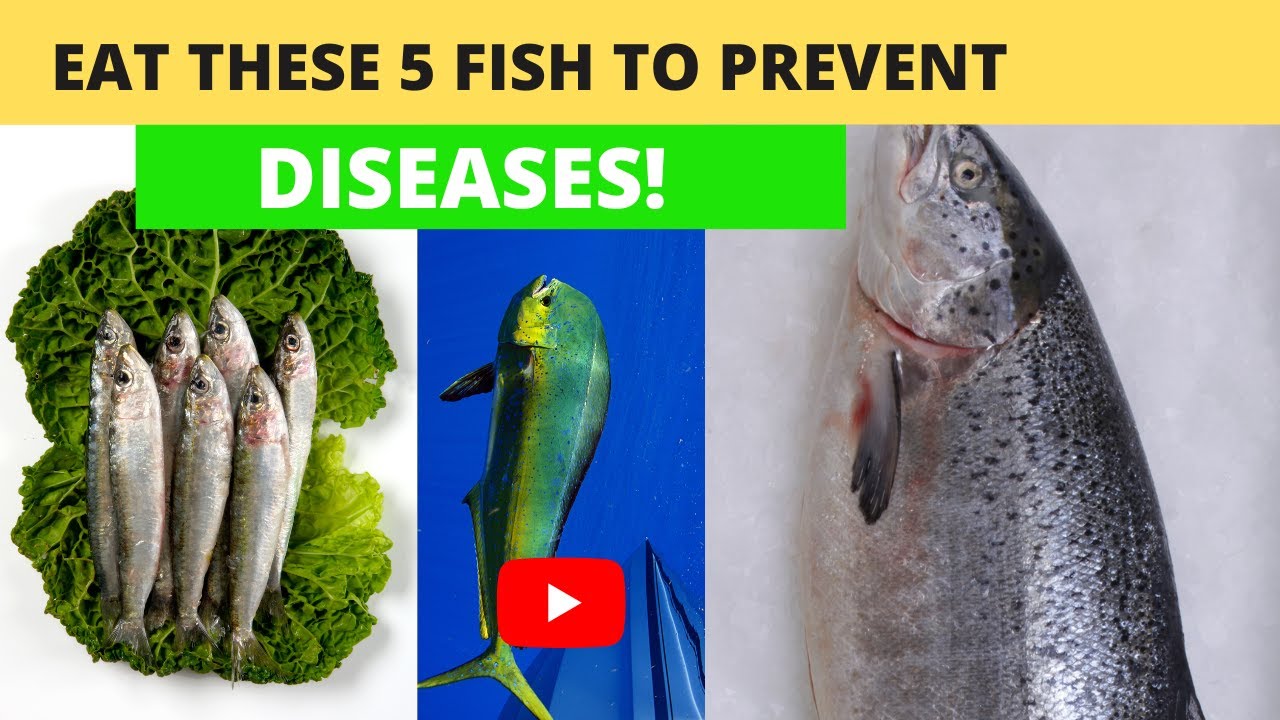 The Top 5 Fish You Should Eat Every Day, and Why! - YouTube