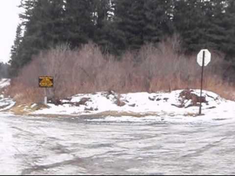 Snowmobile Trail report - Tug Hill, NY 1-1-11 - YouTube