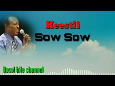 HEESTII|SOW SOW|MAXAMED AXMED KULUC|LYRICS - YouTube