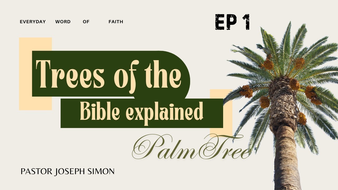 24TH JUNE 2024 || TREES OF THE BIBLE EXPLAINED - PALM TREE || Word of ...