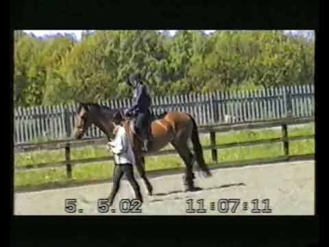 Middleton Park Equestrian Centre - 5th May 2002 - YouTube