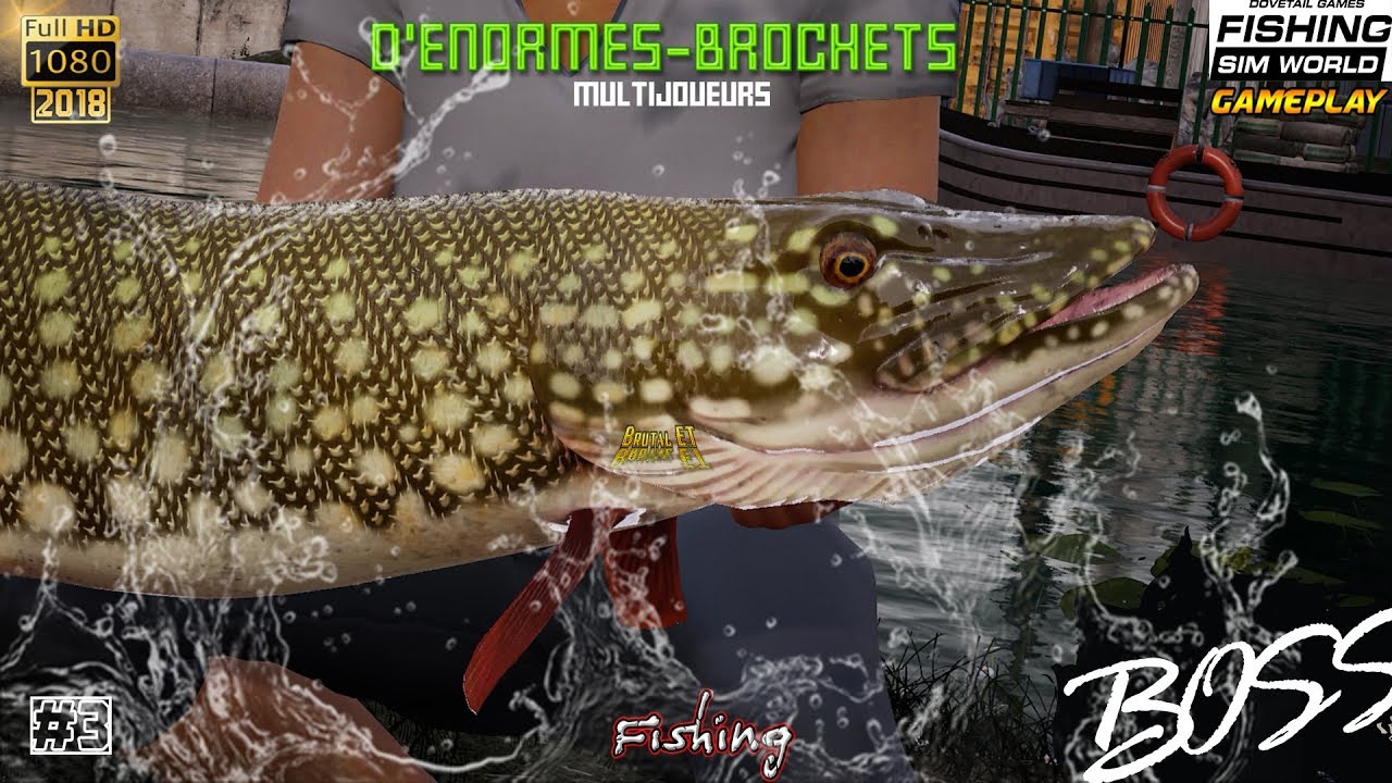 FISHING SIM WORLD MULTIJOUEURS #3 POISSONS BOSS - UNE BELLE PÊCHE AVEC ...