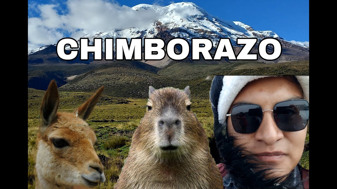 visitando el volcán Chimborazo... - YouTube