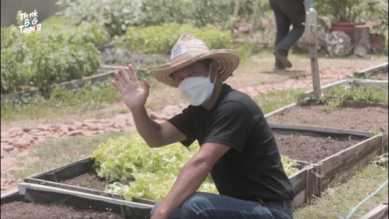 HASHTAGUIG | BGC Community Farm by Urban Farmers - YouTube