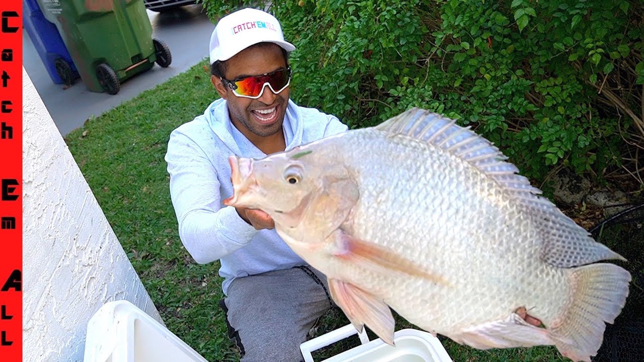 CATCHING GIANT Rare WHITE LIGHTNING FISH! - YouTube