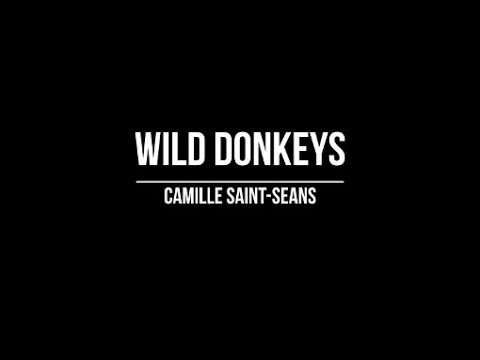 "Wild Donkeys" | Camille Saint-Saens - YouTube