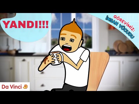 Yanıklar😭| Görevimiz: İnsan Vücudu | Da Vinci TV Türkiye