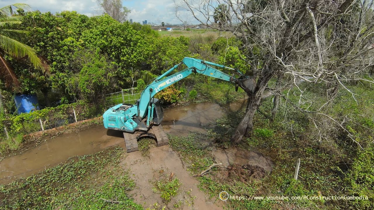 Action Excavator Push Dead Trees And Clear The Woods In Water, Kobelco ...