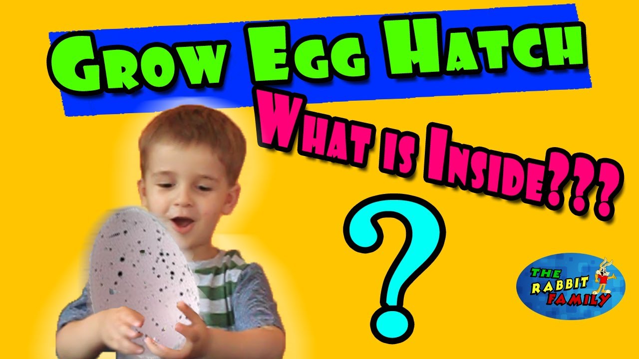 Grow Egg Hatch, Ethan Hatching a egg, What is Inside? Family Fun with ...