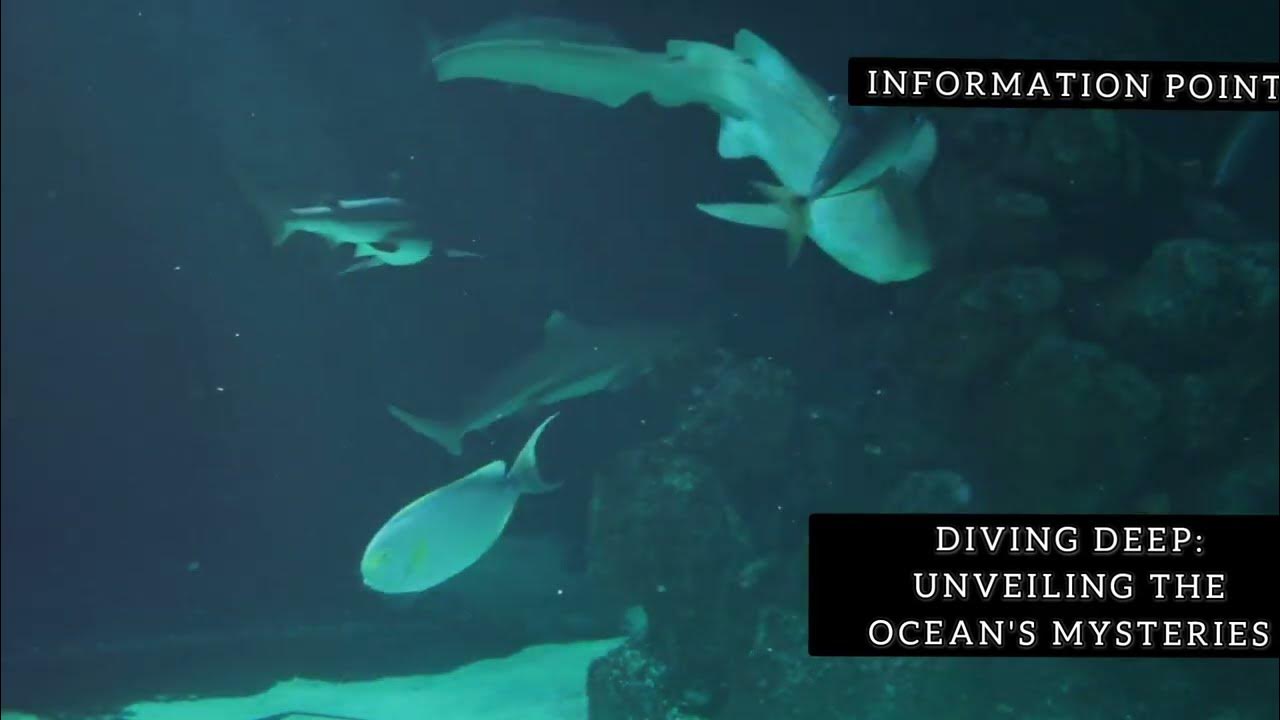 Diving Deep: Unveiling the Ocean's Mysteries#OceanExploration #MarineConservation # ...