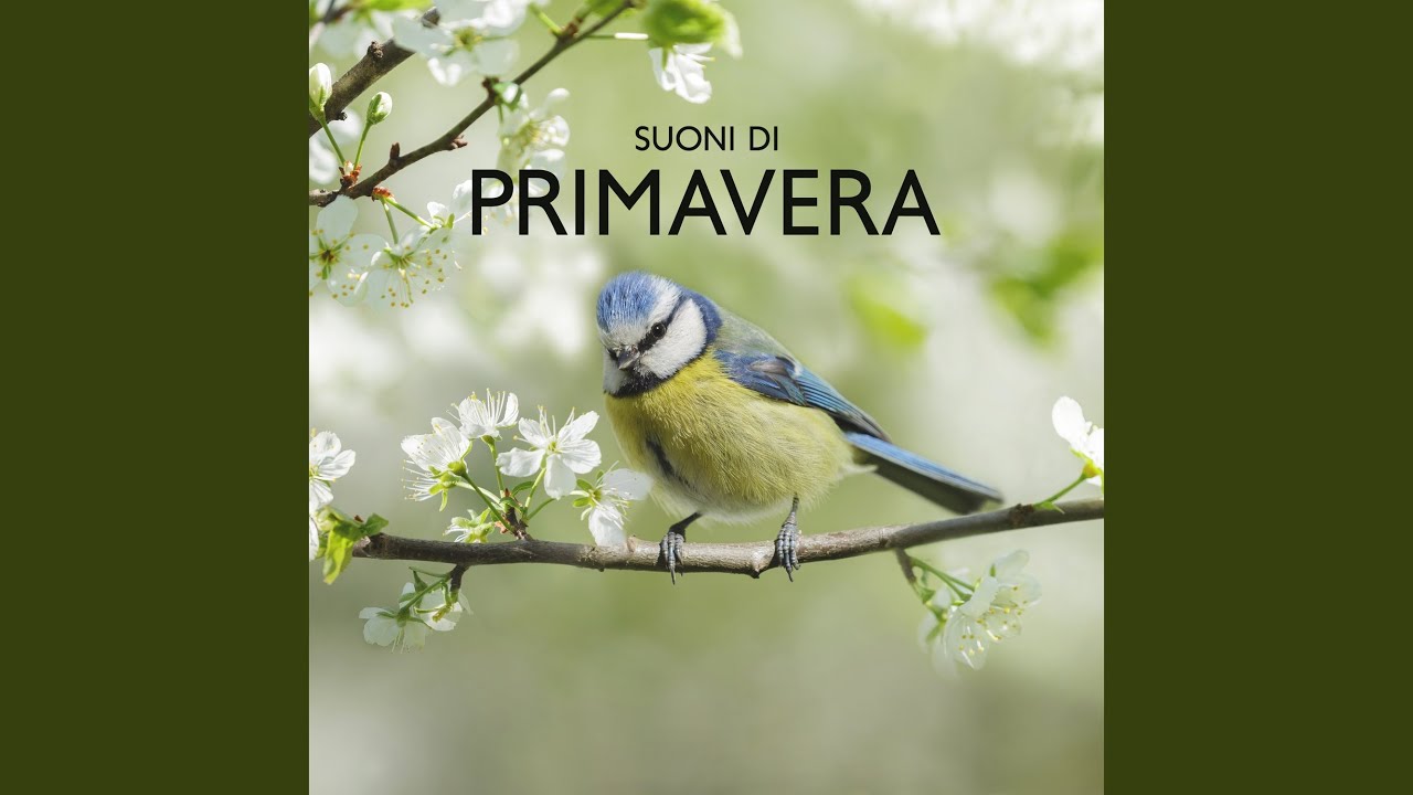 Essere presenti - YouTube