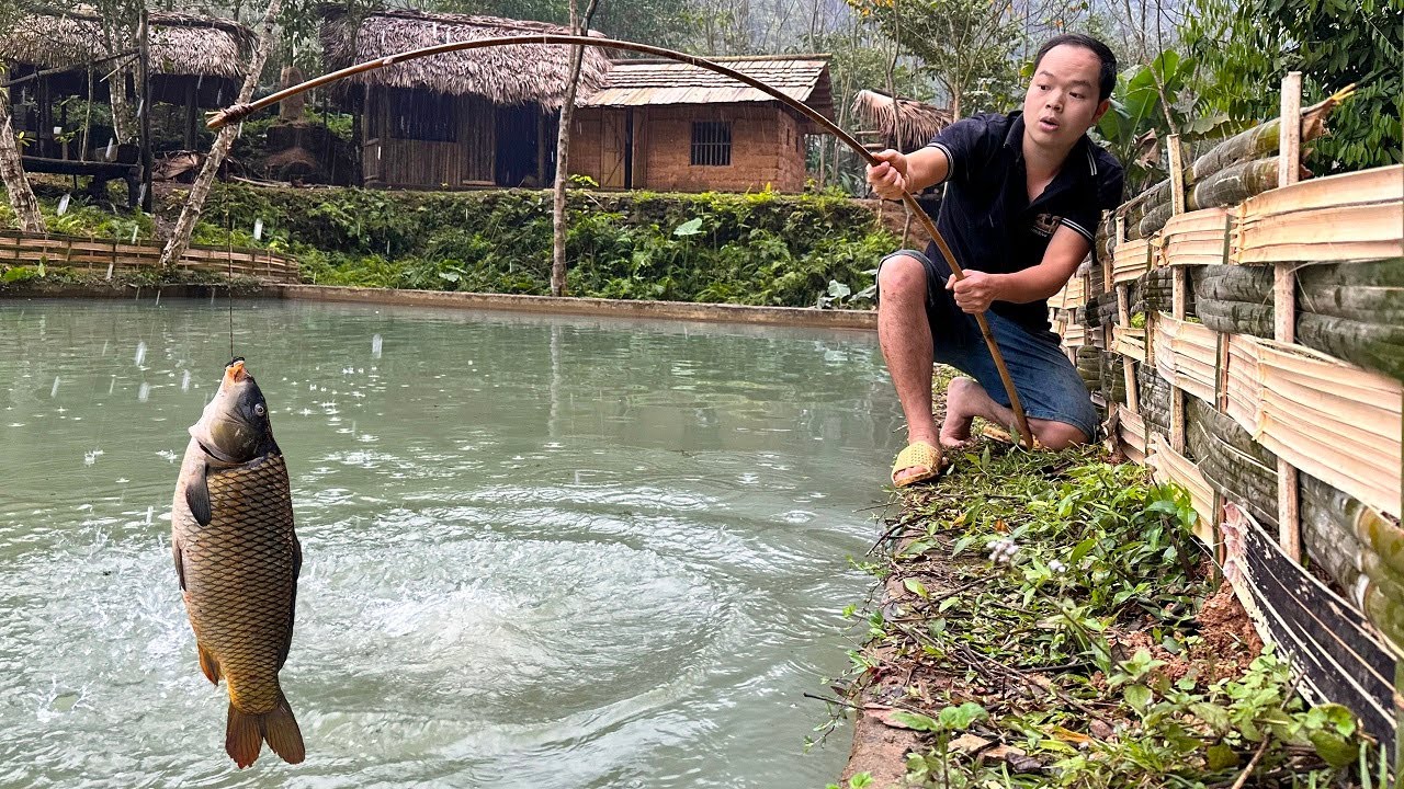 Duong caught huge fish for dinner, Results after 385 days of raising ...