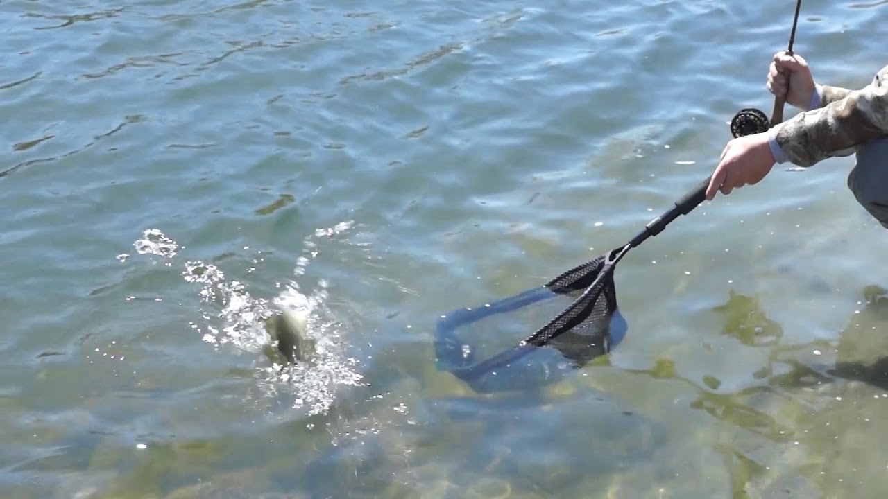 How to Fly Fish on a Bright Sunny Day - YouTube