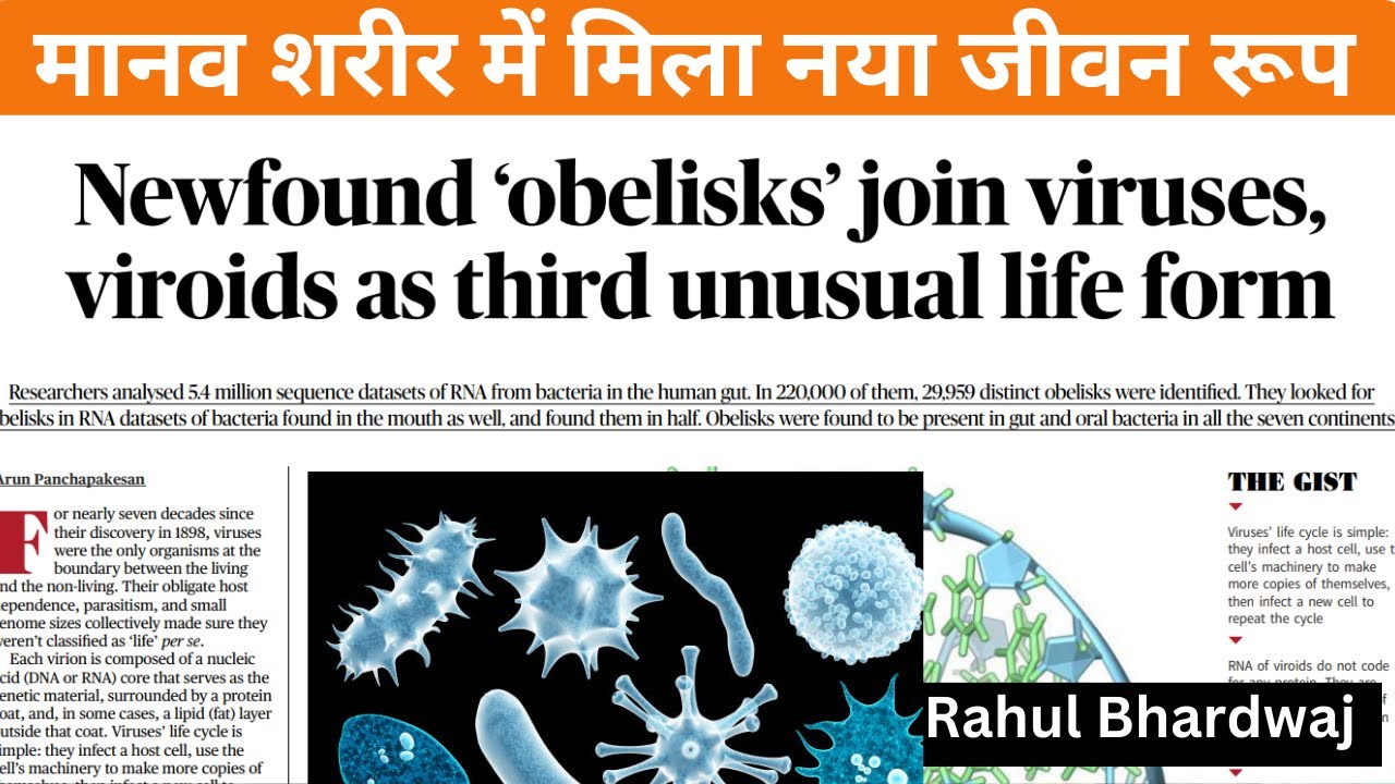A New Virus-like Entity has been discovered in Human Body – ‘Obelisks ...