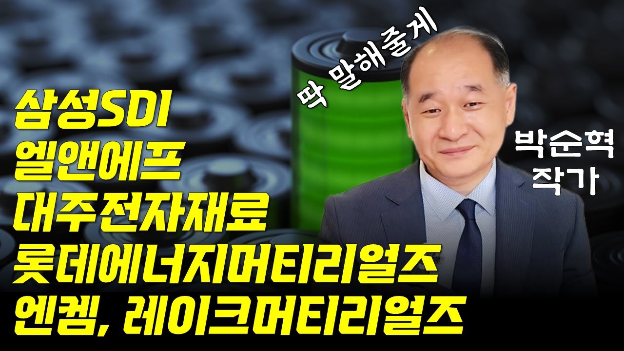 박순혁 작가의 2차전지 종목진단 삼성sdi 엘앤에프 대주전자재료 롯데에너지머티리얼즈 엔켐 레이크머티리얼즈 에코