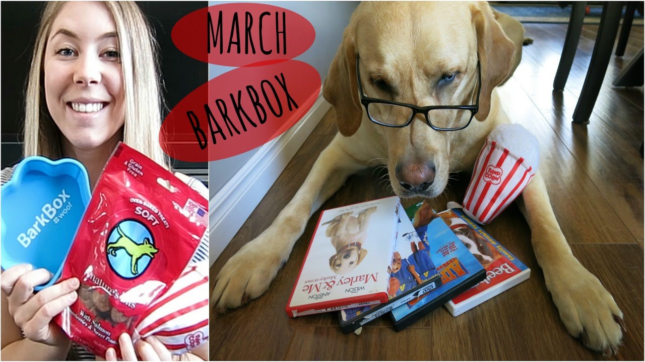 March BarkBox Review with Cooper! | DISCOUNT CODE - YouTube