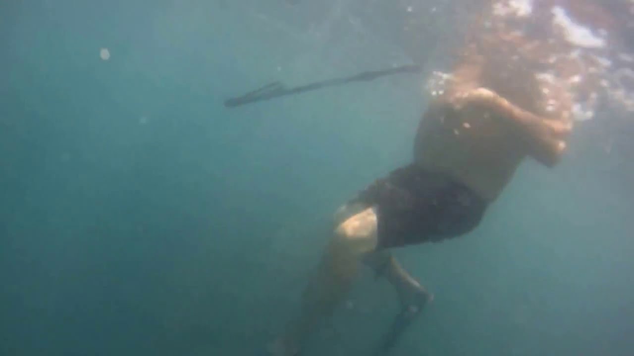 spear fishing sheepshead at cape lookout NC jetties. shark encounter ...