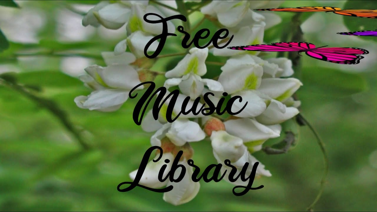 Royalty Free Music Library ♫ Guiton Sketch - Kevin MacLeod - YouTube