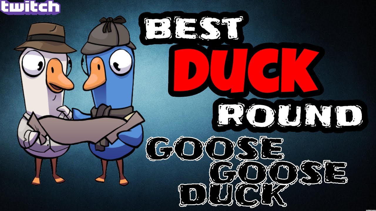Goose Goose Duck Hide And Seek DUCK POV - Gameplay - YouTube