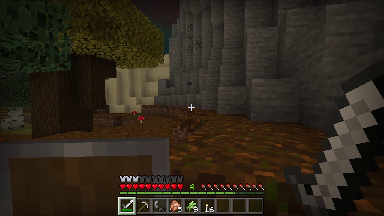 Minecraft overworld in nether - YouTube