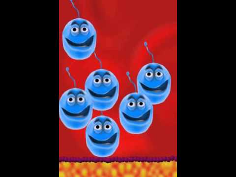 Talking Bacteria, John, John, & John It's a Small World - YouTube