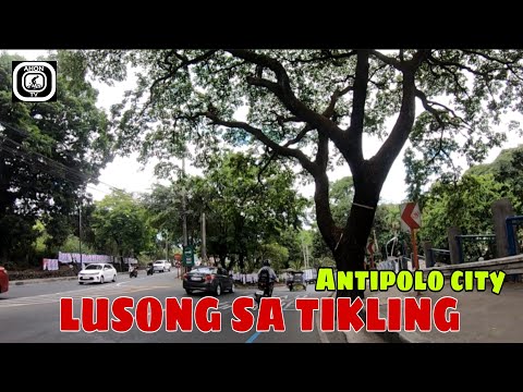 ANG SARAP PAG PURO GANITO LAHAT, PALUSONG SA TIKLING - YouTube