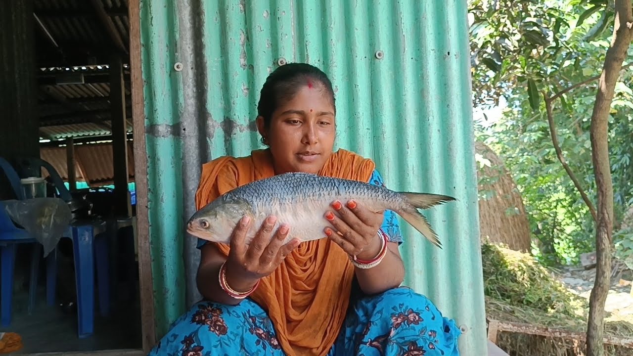 আজ বাবা অনেক সখ করে বড় একটা ইলিশ মাছ আনলো | Village Style Ilisha Fish ...