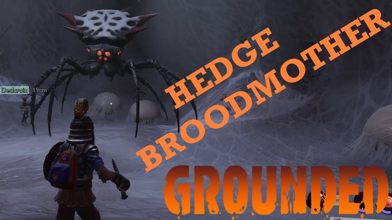 Hedge Broodmother Grounded - YouTube