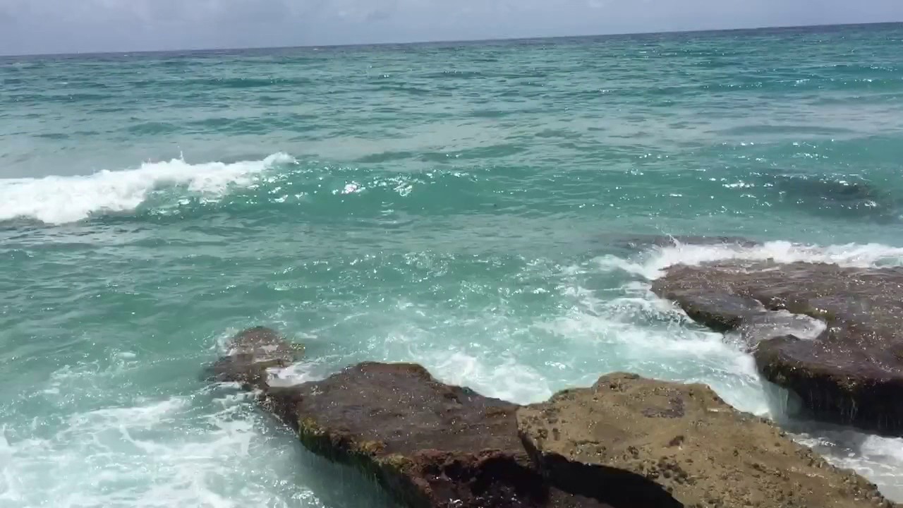 Ocean Reef Singer Island - YouTube