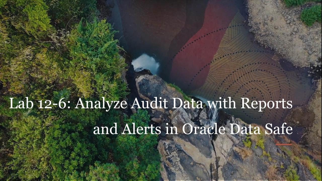 Lab 12-6 Analyze Audit Data with Reports and Alerts in Oracle Data Safe ...