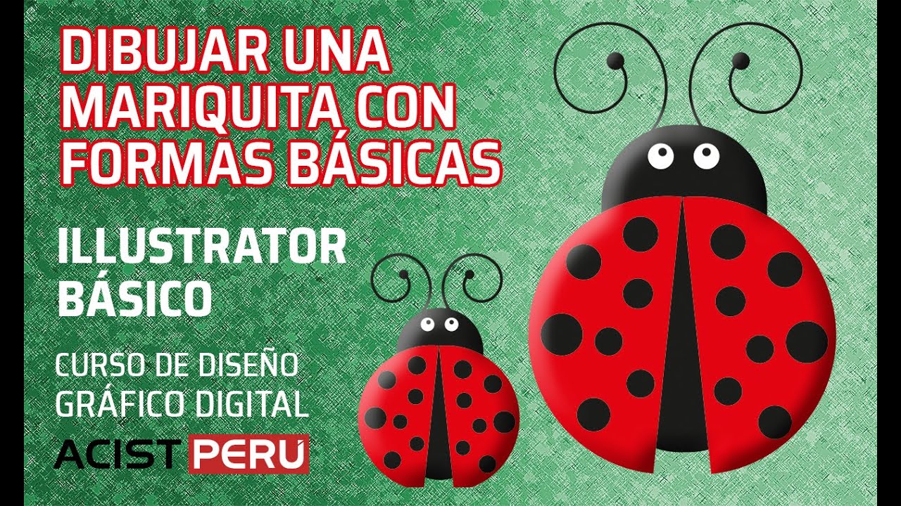 Curso Básico de Illustrator Básico 2021: Cómo utilizar y modificar formas básicas illustrator ...